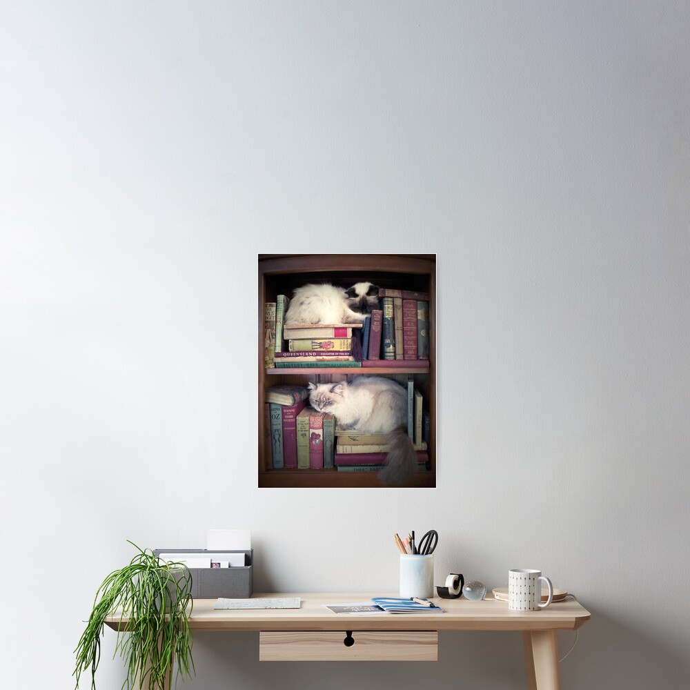 "Library Cats" Poster for Sale by Artsez | Redbubble