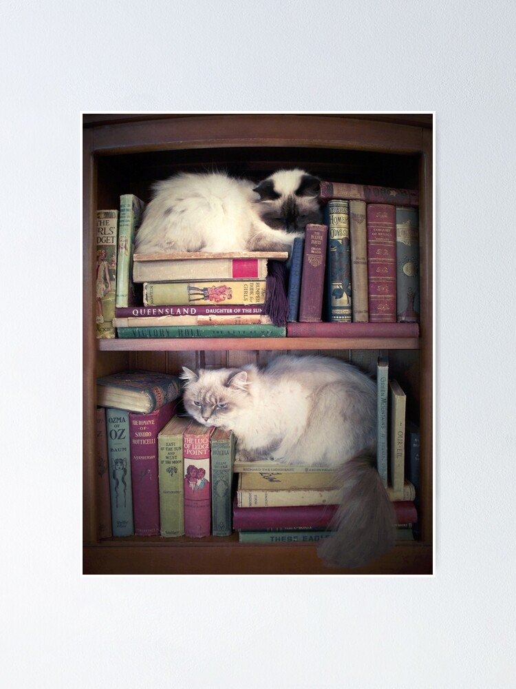 "Library Cats" Poster for Sale by Artsez | Redbubble