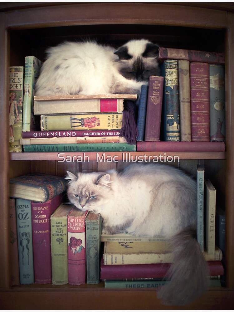 "Library Cats" Sticker for Sale by Artsez | Redbubble