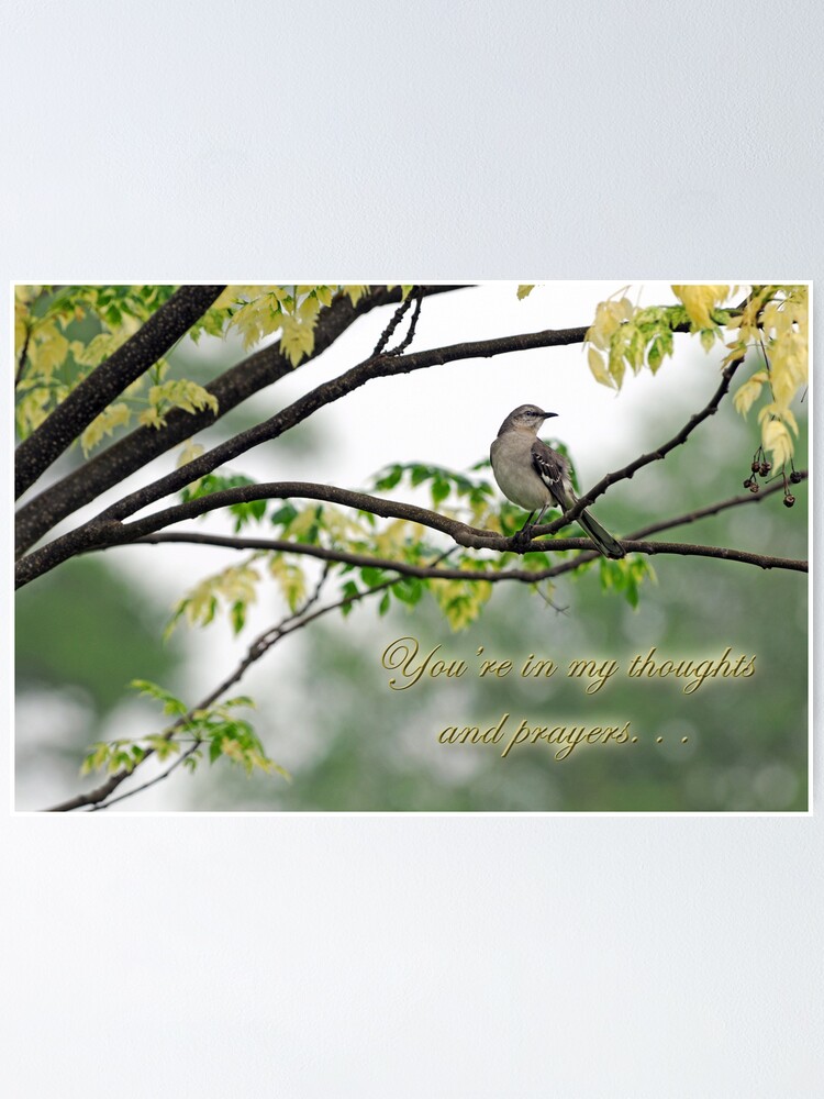 "You're in my thoughts and prayers . . ." Poster by Miracles | Redbubble