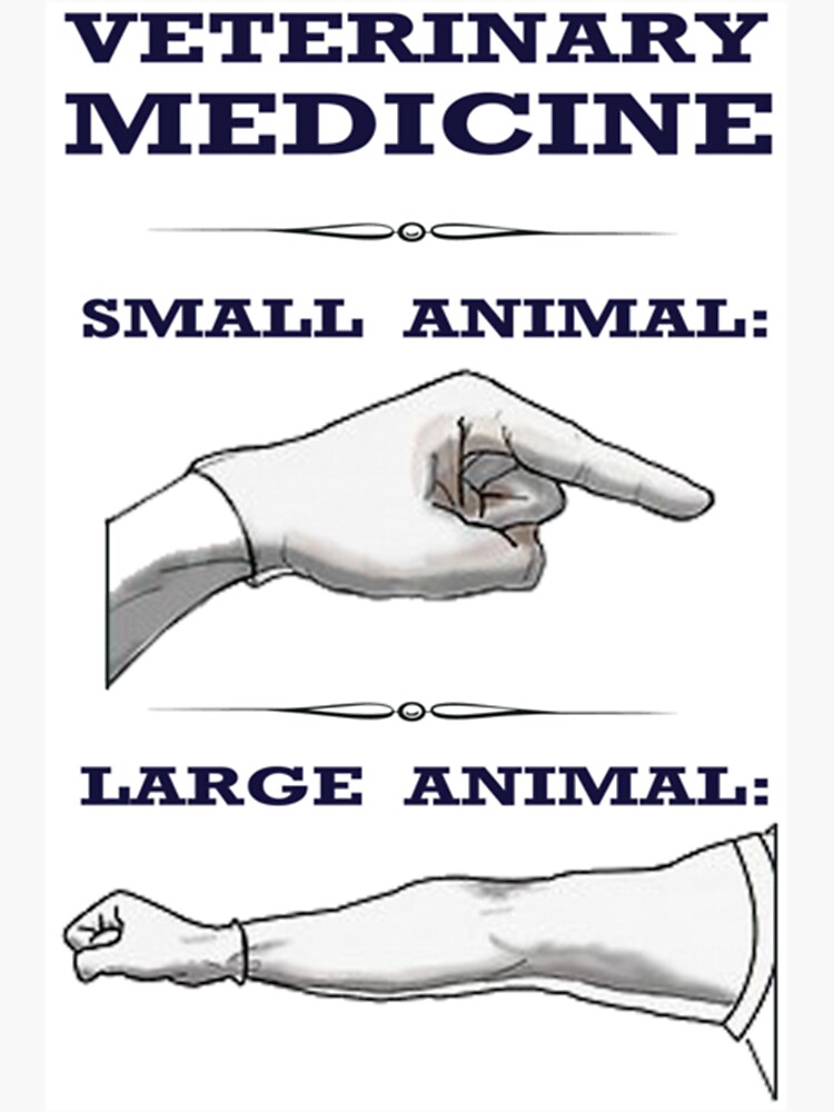 "Veterinary Medicine - Large vs. Small Animal " Sticker for Sale by ...