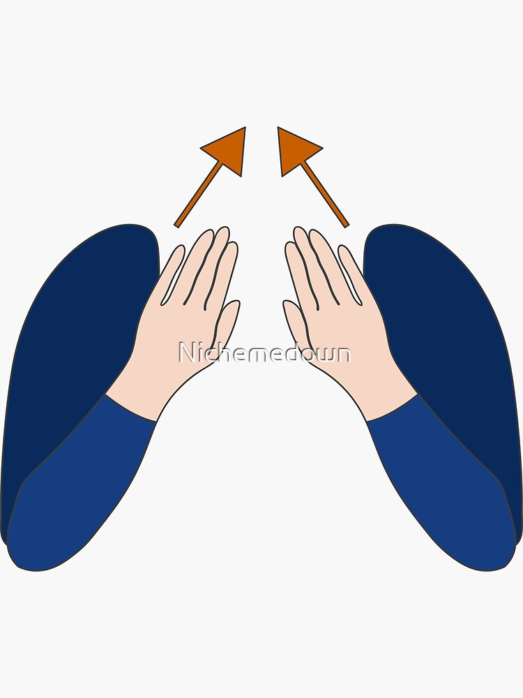 "BSL You're welcome " Sticker for Sale by Nichemedown | Redbubble