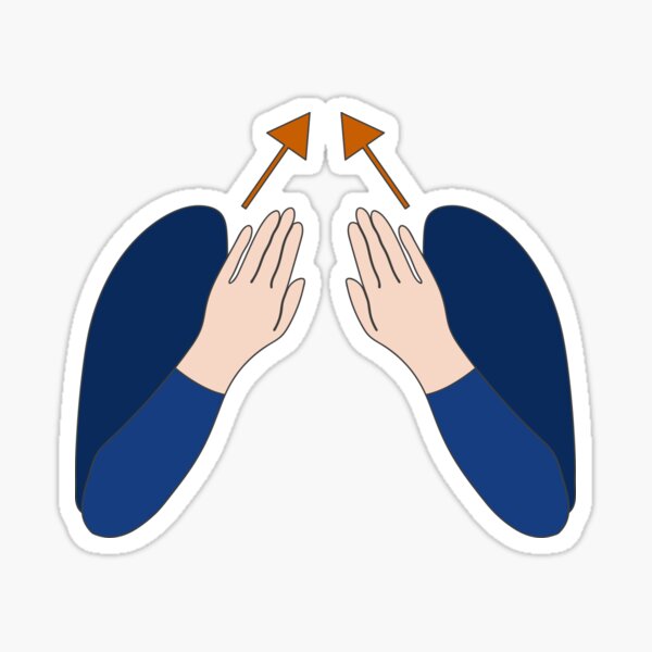 "BSL You're welcome " Sticker for Sale by Nichemedown | Redbubble