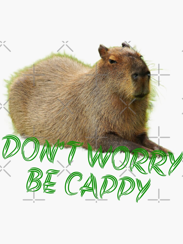 "Copy of Don't worry be cappy" Sticker for Sale by Groenendael | Redbubble