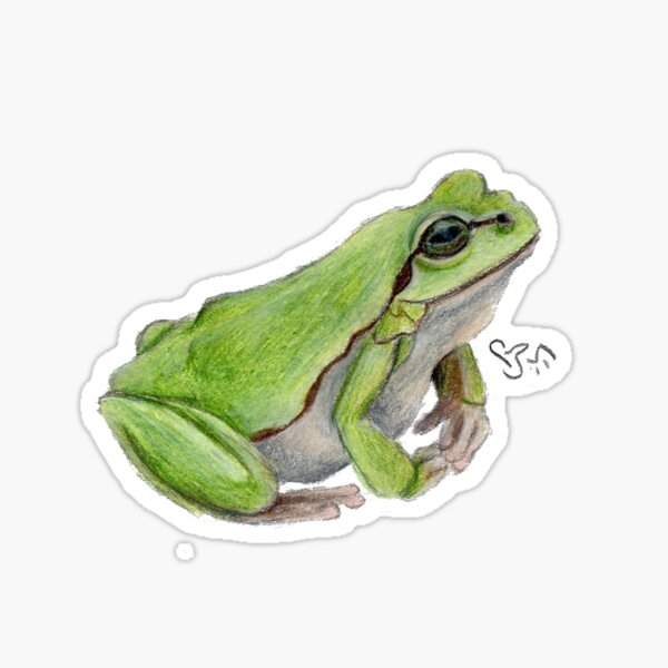 "Fwog" Sticker for Sale by Griffinfire | Redbubble