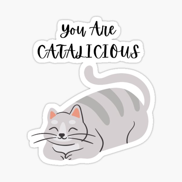 "you are catalicious " Sticker for Sale by AlinaDoodles | Redbubble