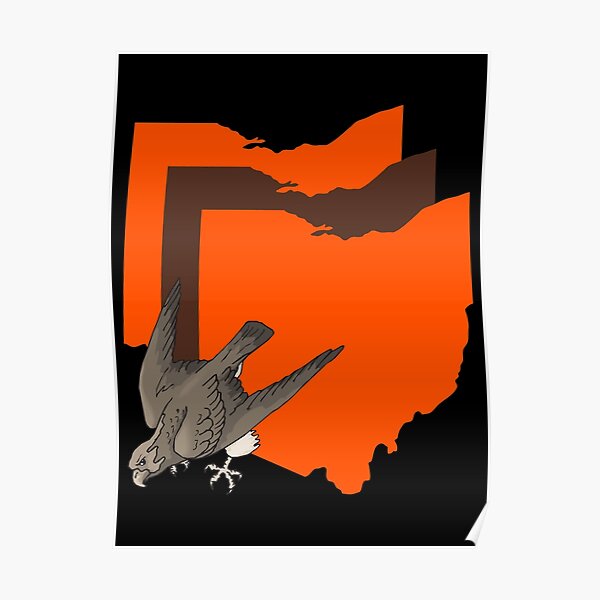 "Ohio Border, Falcons" Poster for Sale by LatterDaze | Redbubble