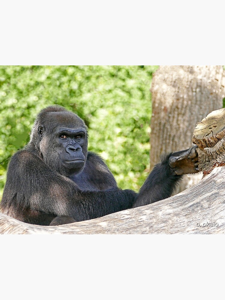 "r3068/ finition 2022 " Gorilla atitude and Expression of a human by ...