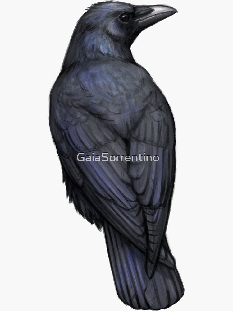 "Carrion Crow" Sticker for Sale by GaiaSorrentino | Redbubble