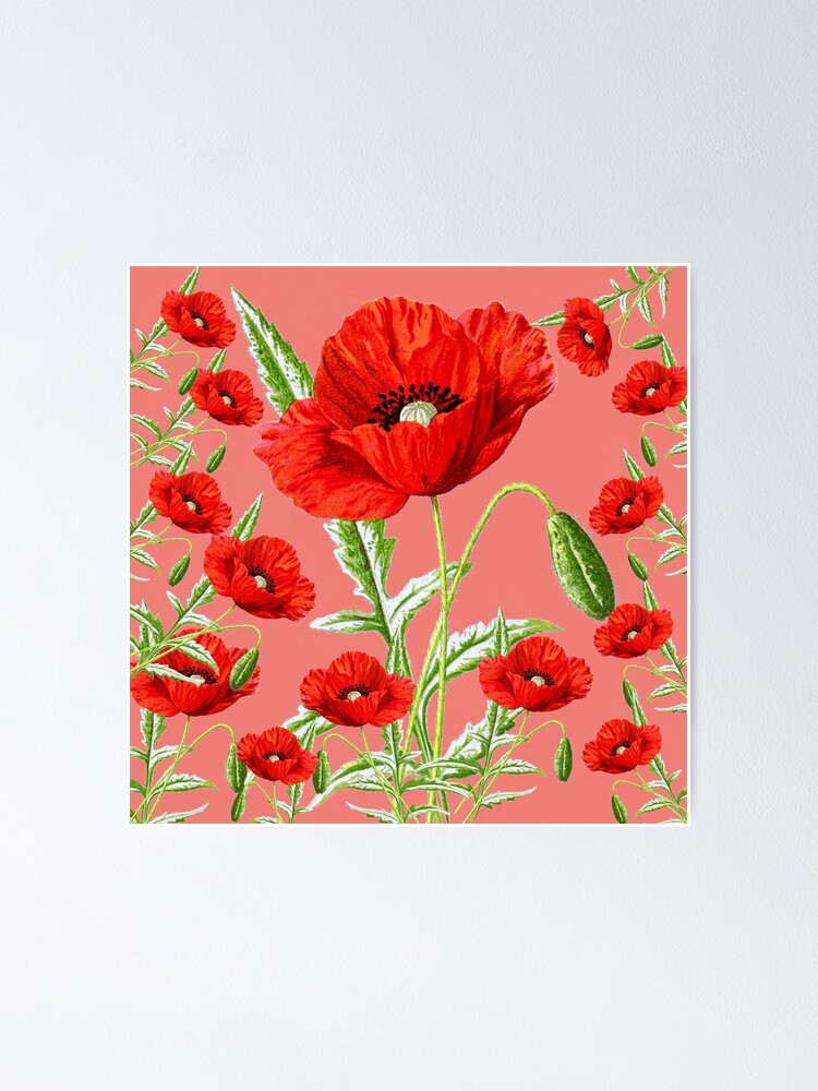 "Flower summer aesthetic vsco, Nature True Color" Poster for Sale by ...