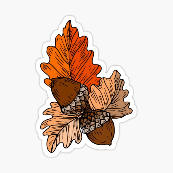 "Acorns and Fall Leaves" Sticker for Sale by SElsworth | Redbubble