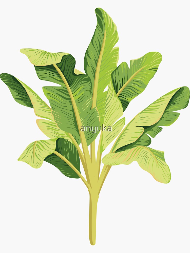 "banana tree" Sticker for Sale by anyuka | Redbubble