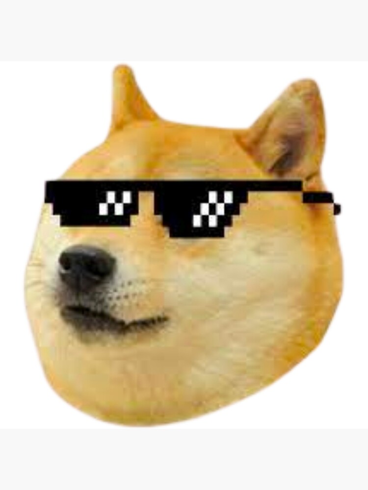Meme De Doge Con Gafas De Sol Dogemarley Crypto Meme Dogemarley