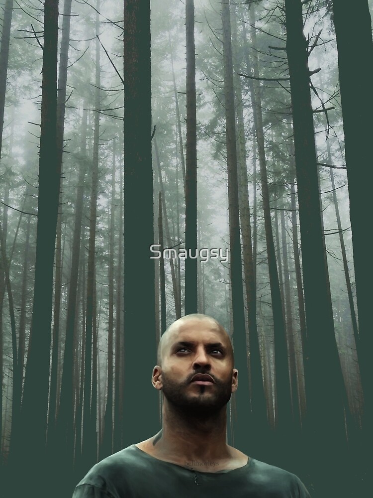 "Lincoln kom Trikru" T-shirt for Sale by Smaugsy | Redbubble | lincoln ...