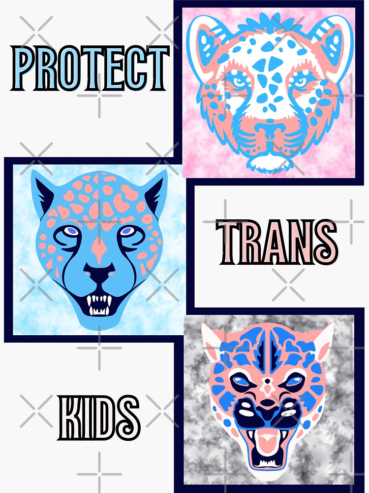 "Protect Trans Kids" Sticker for Sale by Planetary-Disco | Redbubble