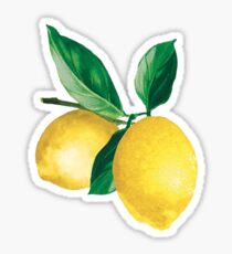 Lemon Stickers | Redbubble
