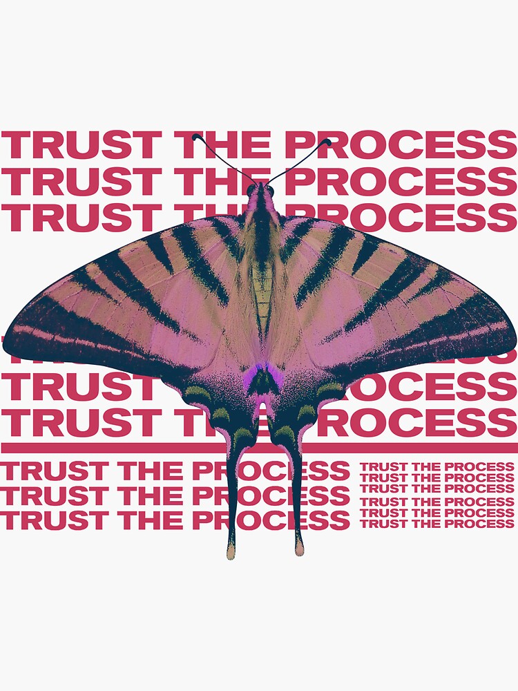 "Trust The Process Pink Butterfly" Sticker for Sale by Designchock ...