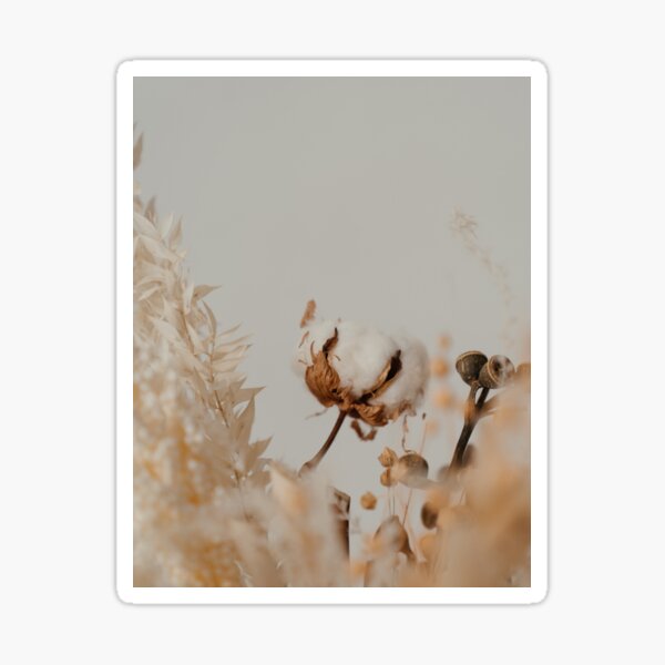 "Natural Cotton" Sticker for Sale by BelleLaBelle1 | Redbubble