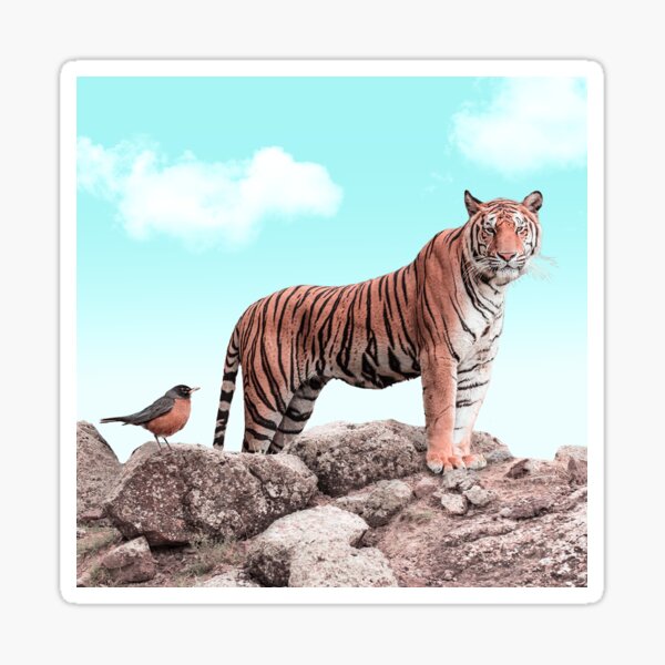 "tiger in the desert" Sticker for Sale by Sher-ri | Redbubble