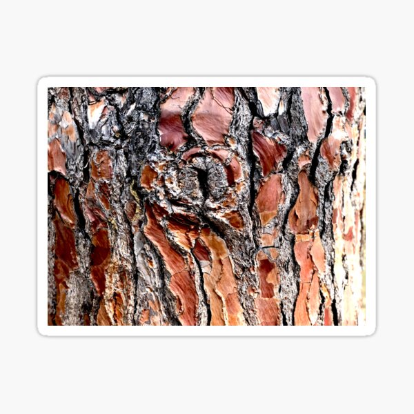 "Reddened Bark " Sticker for Sale by KazM | Redbubble