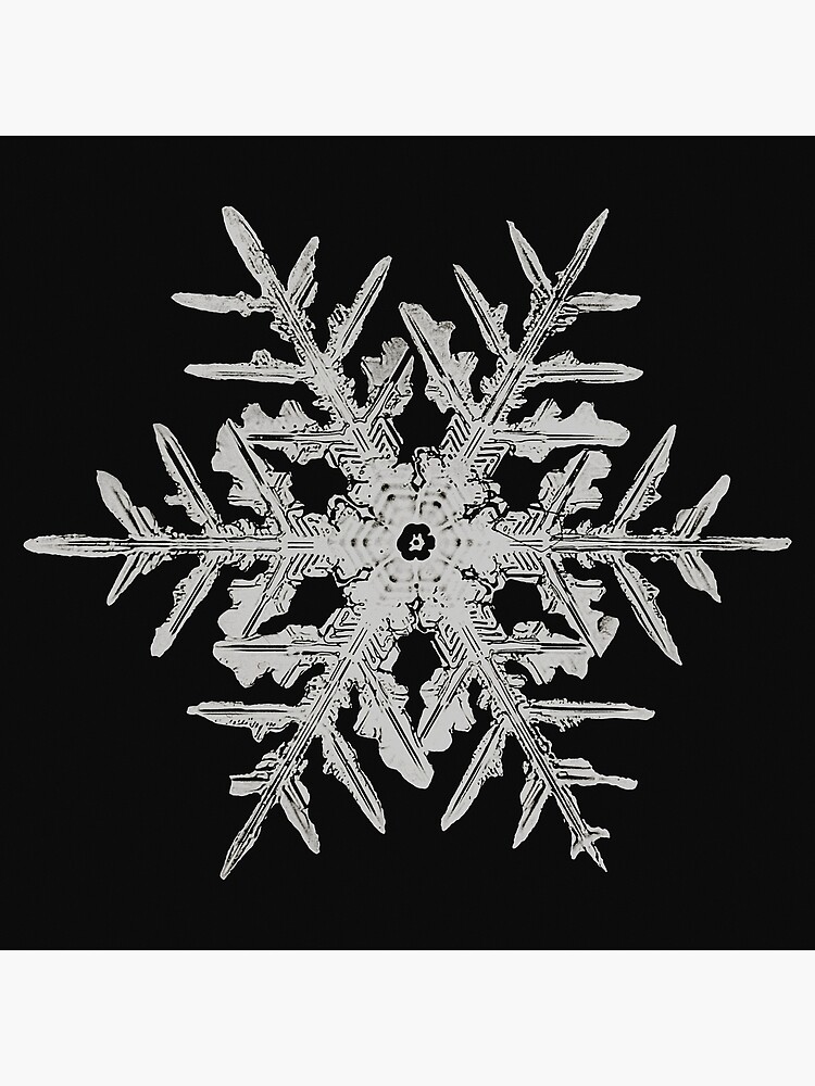 "Snowflake" Poster for Sale by v0jkan | Redbubble