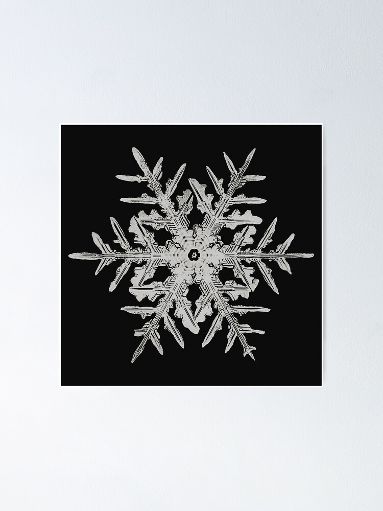 "Snowflake" Poster for Sale by v0jkan | Redbubble