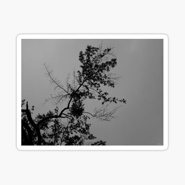 Dsbm Merch & Gifts for Sale | Redbubble