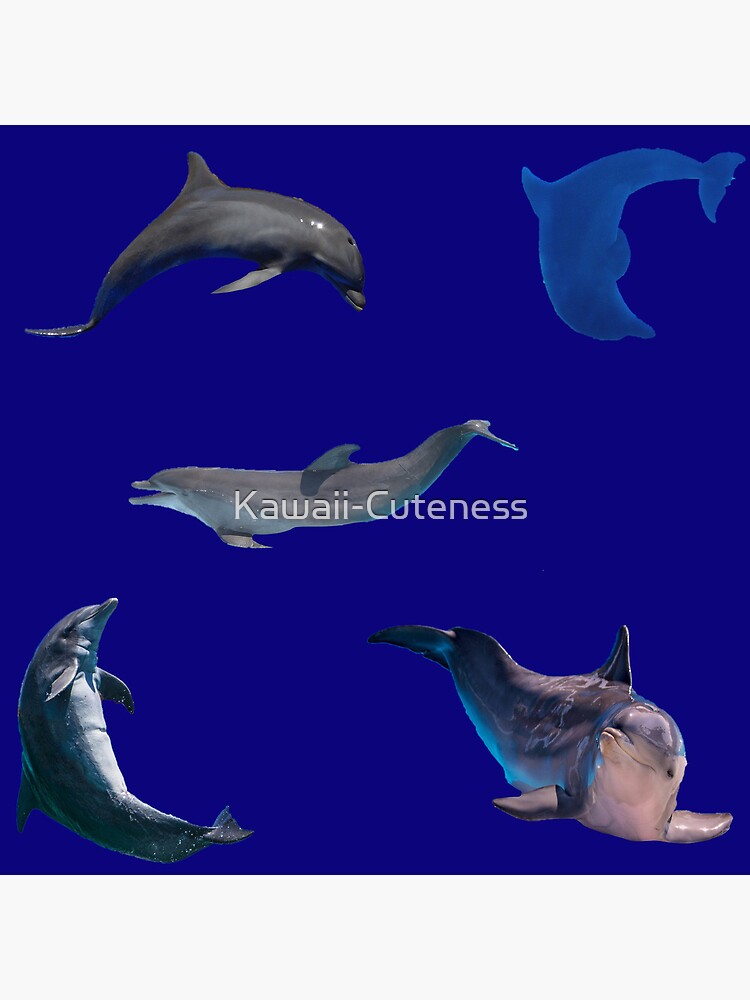 "Dolphin Pod Pack" Poster for Sale by Kawaii-Cuteness | Redbubble