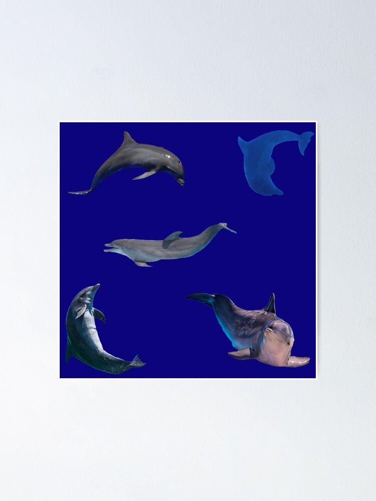 "Dolphin Pod Pack" Poster for Sale by Kawaii-Cuteness | Redbubble