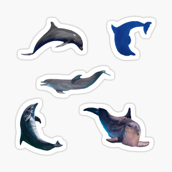 "Dolphin Pod Pack" Sticker for Sale by Kawaii-Cuteness | Redbubble