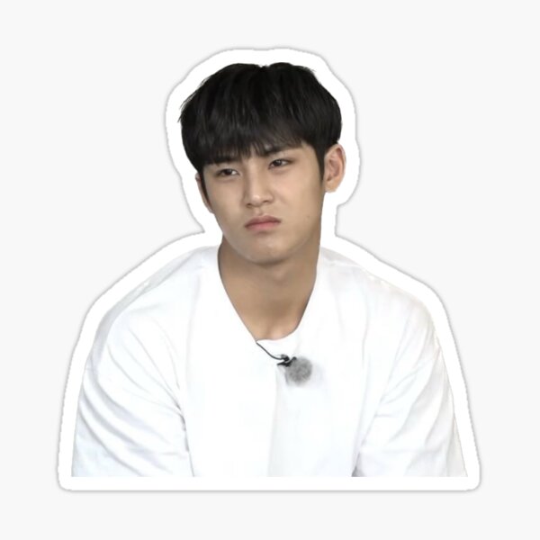 "mingyu meme" Sticker for Sale by victoriaabi | Redbubble