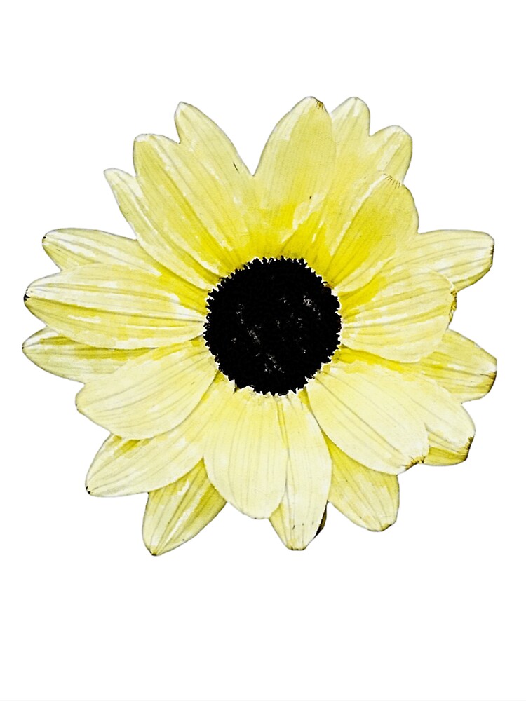 "Pale yellow Sunflower" Sticker for Sale by Floral-Art | Redbubble