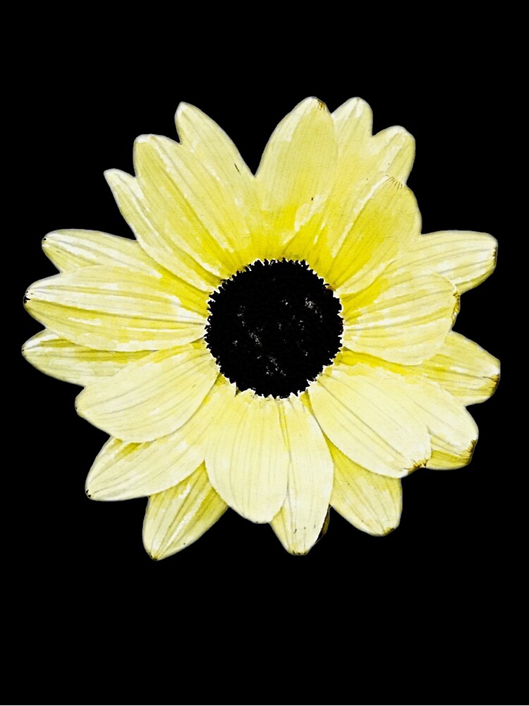 "Creamy yellow Sunflower" Sticker for Sale by Floral-Art | Redbubble