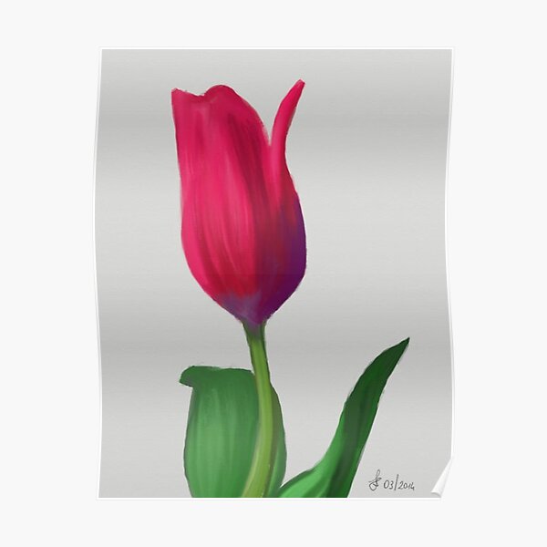 "Tulip" Poster for Sale by Saryetta | Redbubble