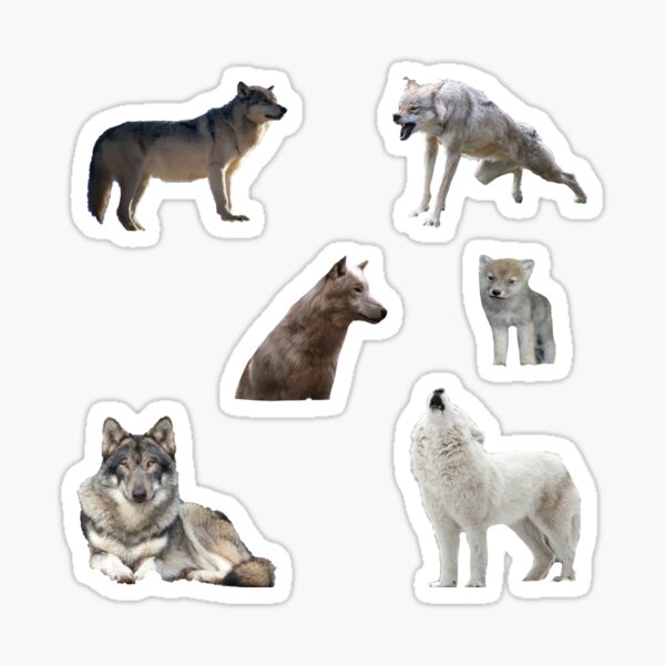 "Wolf Pack" Sticker for Sale by Kawaii-Cuteness | Redbubble
