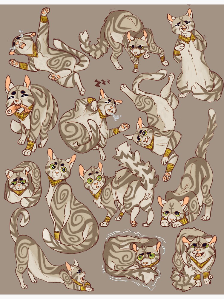 "Collection of Assorted Cat Poses " Sticker for Sale by DayDreamerLeina ...