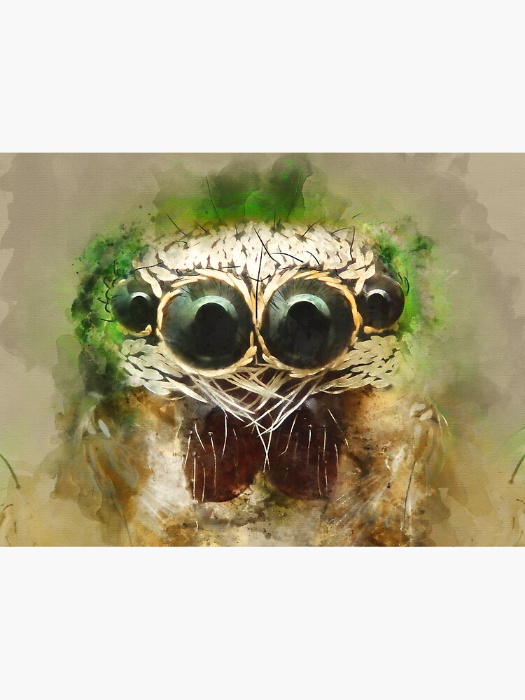 "Cute Jumping Spider Art Drawing Christmas And Birthday Gift Idea ...