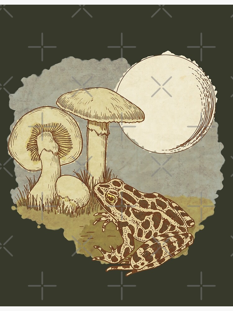 "Toad by Moonlight- frog, toad, moon, night, fall, spring, summer ...