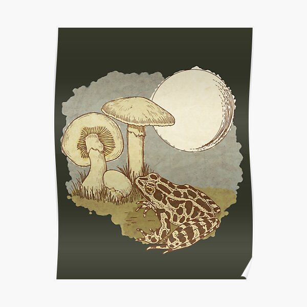 "Toad by Moonlight- frog, toad, moon, night, fall, spring, summer ...