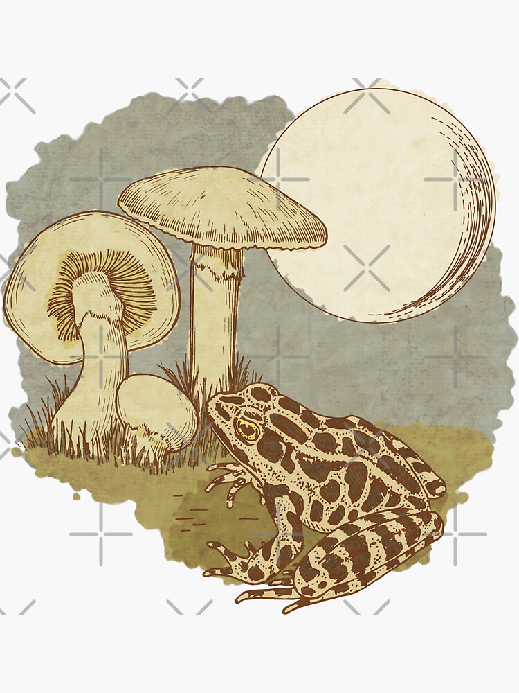 "Toad by Moonlight- frog, toad, moon, night, fall, spring, summer ...