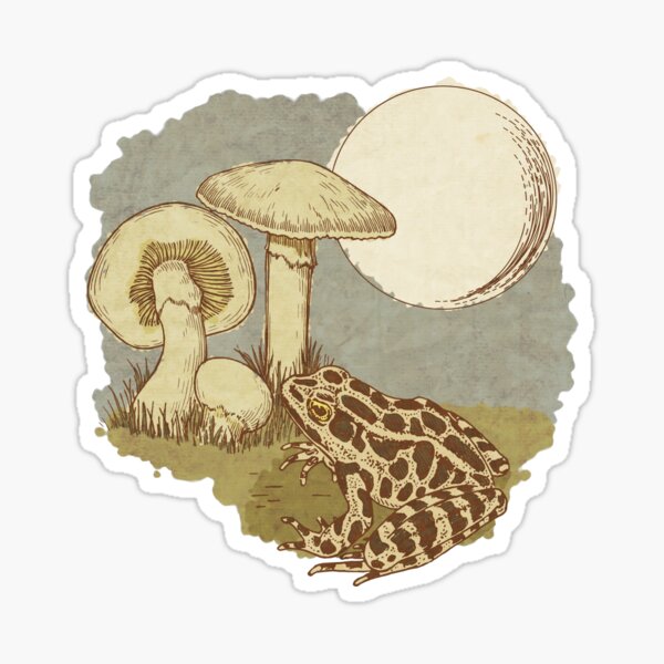 "Toad by Moonlight- frog, toad, moon, night, fall, spring, summer ...