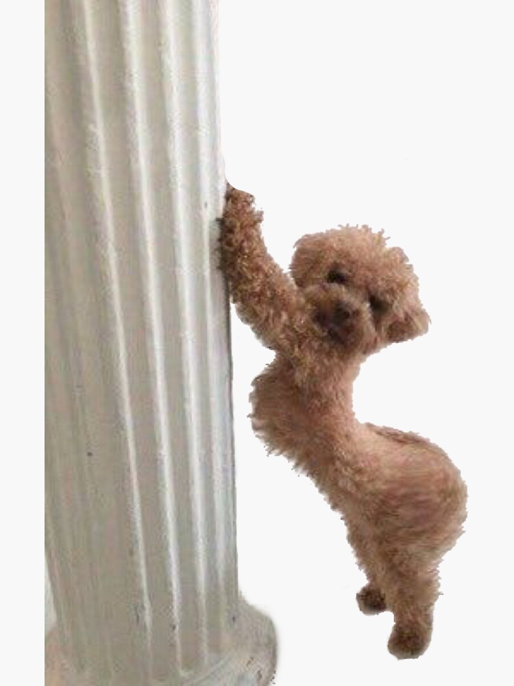 "Sassy dog" Sticker by sageanderss | Redbubble