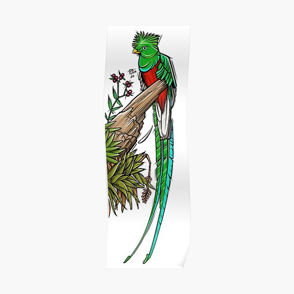 "quetzal sticker" Poster for Sale by Pulunperez | Redbubble