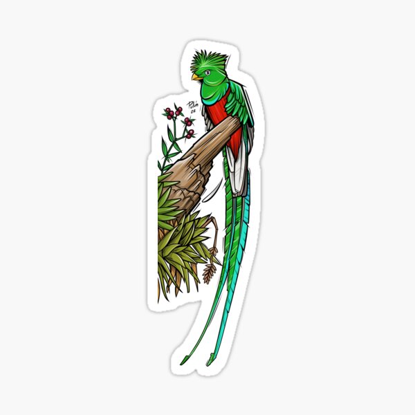 "quetzal sticker" Sticker for Sale by Pulunperez | Redbubble