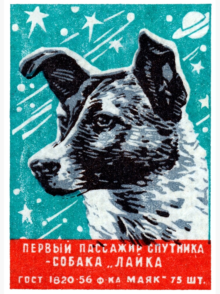 "1957 Laika the Space Dog" Poster for Sale by historicimage | Redbubble