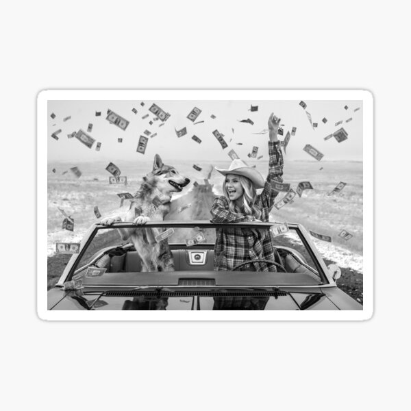 "David Flying Money" Sticker for Sale by mariecoleman795 | Redbubble