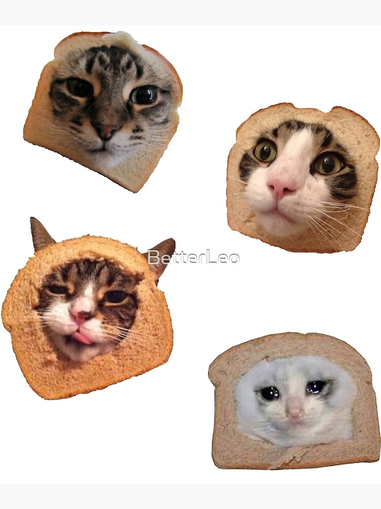 "Cat Toasts Pack Cursed Meme" Poster for Sale by BetterLeo | Redbubble