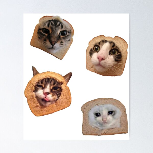 "Cat Toasts Pack Cursed Meme" Poster for Sale by BetterLeo | Redbubble