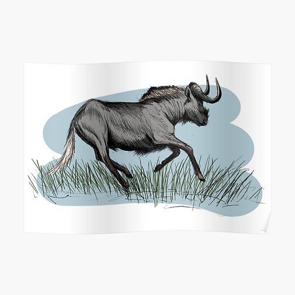 "Black wildebeest (Gnu) running" Poster for Sale by Bibi-Art-Studio ...