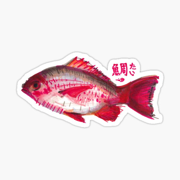 "Tai Red Sea Bream Marker Sketch" Sticker for Sale by TomuAri | Redbubble
